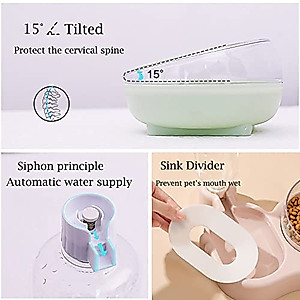 JiangYanus Raised Cat Bowls, 15° Tilted Puppy Cat Food and Water Bowl Set with Automatic Water Dispenser Bottle Cat Dish for Cat Small Medium Dogs (Blue)