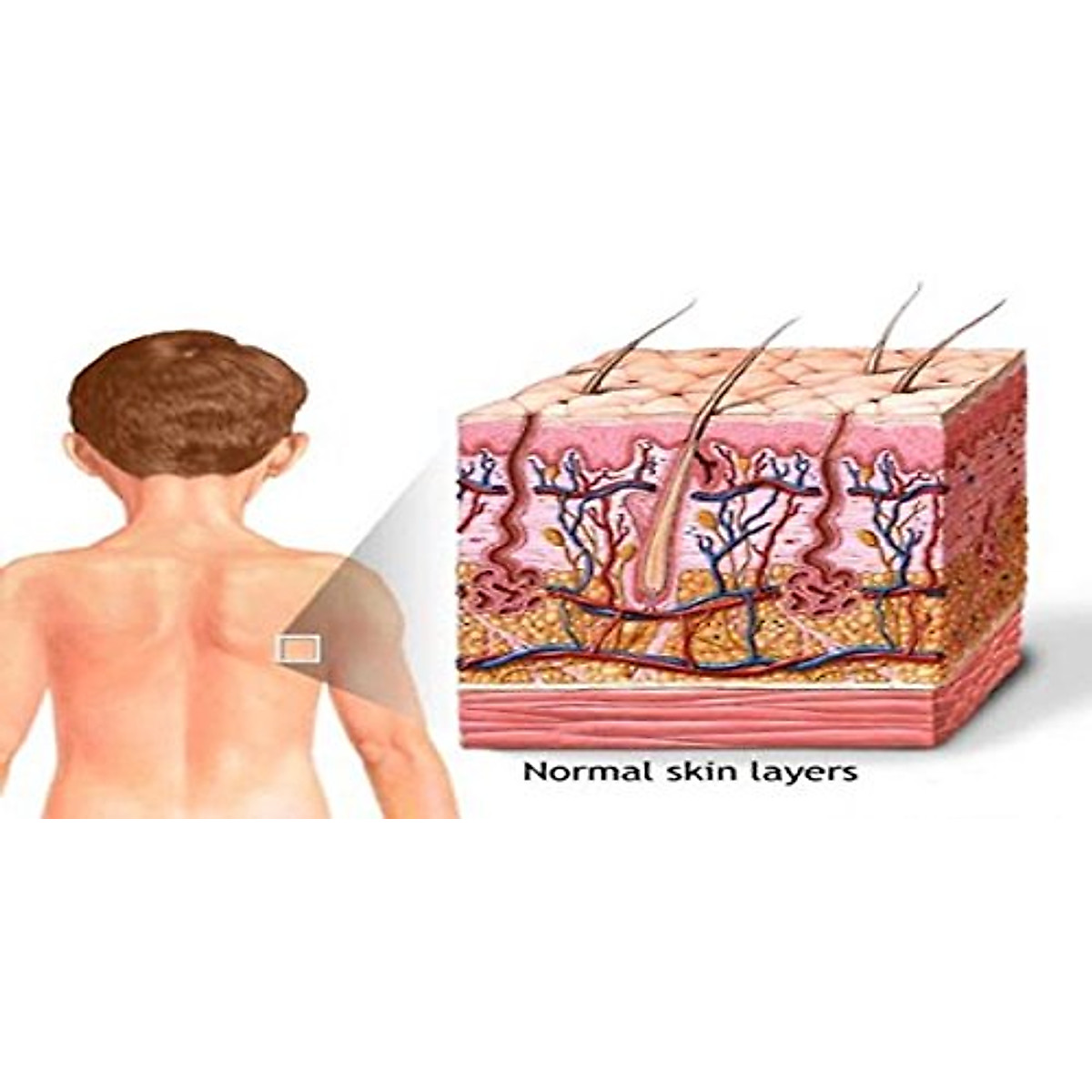 Grisi HypoAllergenic Clean Neutral Soap Bar, No Chemical, Color, Aroma, 3 Count, 10.5 Ounce