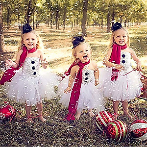 Yuanchuan Solid White Tulle Rolls 6 inch x 25 Yards (75 feet) Solid Color for Table Runner Chair Sash Bow Pet Tutu Skirt Sewing Crafting Fabric Wedding Birthday Ribbon (White)