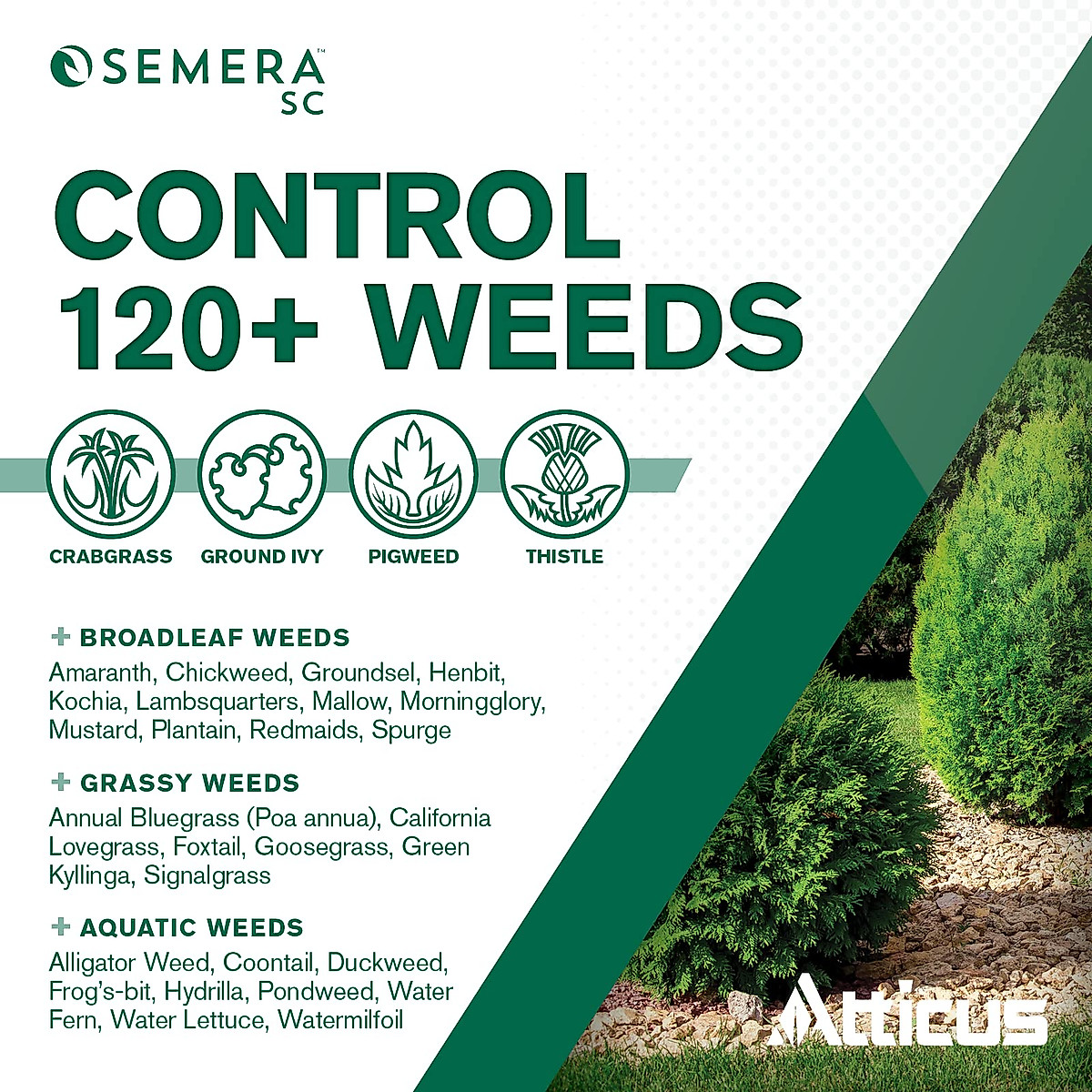 Semera SC Herbicide Concentrate (8 oz) by Atticus (Compare to SureGuard) – Flumioxazin Weed Killer – Season Long Lawn and Aquatic Weed Control