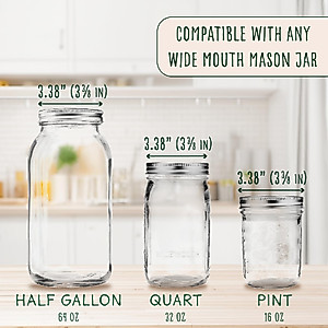 Elementi Sprouting Lids for Wide Mouth Mason Jars (Set of 2), Sprouting Jar Kit for Organic Sprouts, Alfalfa & Mung Bean Sprouts Grow Kit, 316 Stainless Steel Mesh Screen Strainer Lid (Mint Green)