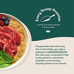 Beef, Brown Rice & Sweet Potato Dry Dog Food, 4 lb. Bag HIGH Protein from Real Beef BIOTIN and Fish Oil Prevent Against Dry Skin and Aid in Healthy Muscle Generation.