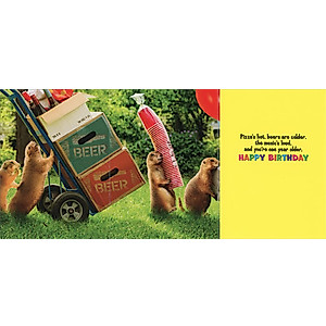 Avanti Press Groundhogs Pushing Dolly Loaded with Party Beverages Funny/Humorous Quad Fold Birthday Card