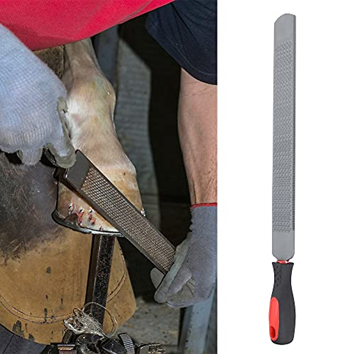BRDI Horseshoe File, Double-Sided Farrier Hoof Rasp T12 Carbon Tool Steel Hoof Trimming Shoeing Tool for Horseshoe Trimming
