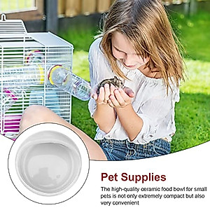 POPETPOP Ceramic Hamster Feeding Bowls, Anti-bite Small Animal Food Bowl Water Feeder for Hedgehog Guinea-Pig Gerbil (Random Color)
