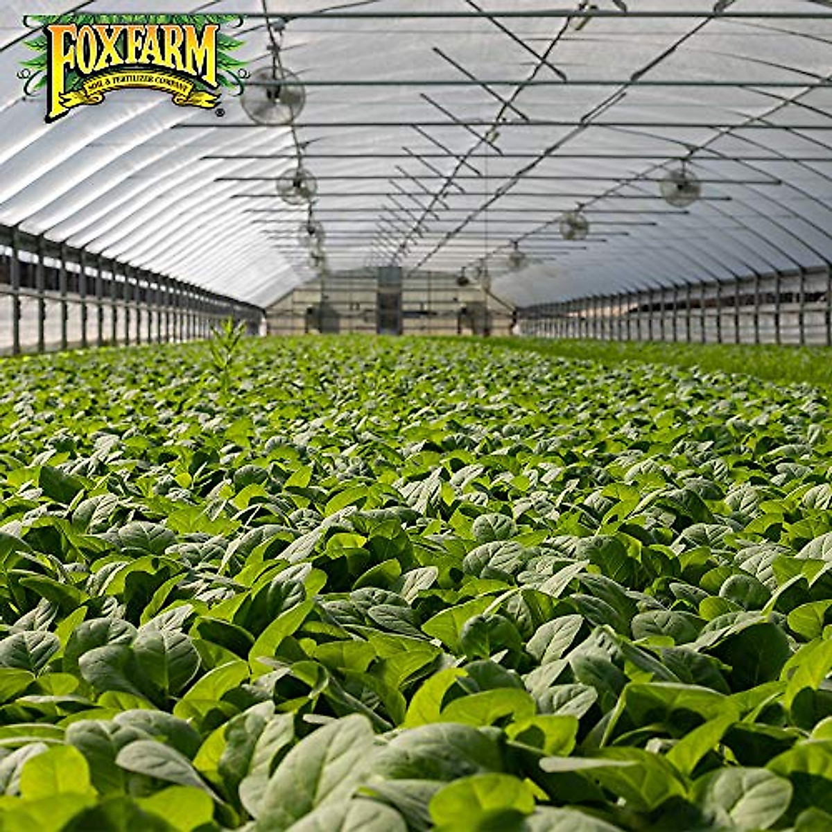 Fox Farm Happy Frog Organic Potting Soil, Growing Soil 12 Quart for Indoor and Outdoor Plants, Potted Plants, Container Gardening (Bundle with Pearsons Protective Gloves) 2 Pack of 12 Quart