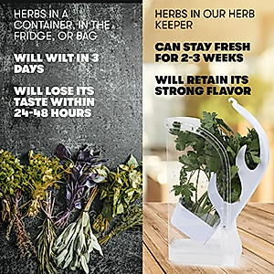 Il Pregio Fresh Herb Keeper and Storage Container - Premium Durable Plastic – Greens Savor Preserver, Keeps Fresh & Hydrates Cilantro, Thyme, Mint, Parsley and Asparagus for Long lasting Spices