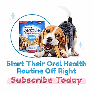Purina DentaLife Chicken Flavored Puppy Teething Chews​ 6 oz - 19 ct Pouch