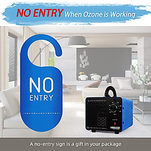 Ozone Machine for Car Home 11,000mg