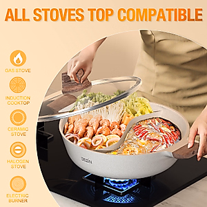 Dezin 5-QT Double-flavor Shabu Shabu Pot with Divider, Dual Sided Nonstick Hot Pot, 12 Inch Divided Stockpot for Cooking, Hotpot Pot for Induction Cooktop, Gas Stove & Hot Burner, Soup Ladle Included