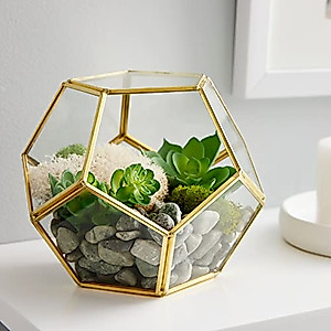 Michaels Bulk 12 Pack: 5.5”; Gold Octagon Glass Terrarium by Ashland™