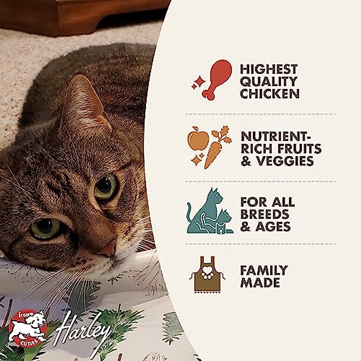 Fromm Four-Star Nutritionals Chicken A La Veg Cat Food - Premium Dry Cat Food - Chicken Recipe - 10 lb