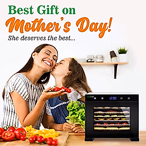 Electric Countertop Food Dehydrator Machine - 600-Watt Premium Multi-Tier Meat Beef Jerky Maker Fruit/Vegetable Dryer w/ 6 Stainless Steel Trays, Digital Timer, Temperature Control - NutriChef