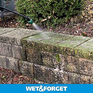 Wet & Forget Moss, Mold, Mildew, & Algae Stain Remover Multi-Surface Outdoor Cleaner Concentrate, Original, 128 Fluid Ounces