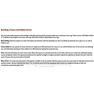 nuLOOM 4x6 Elijah Seagrass Area Rug, Black, Solid Farmhouse Style, Cotton Bordered, Basketweave, Natural Fiber, For Bedroom, Dining Room, Living Room, Hallway, Office, Kitchen, Entryway