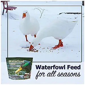 Natural Waterscapes Waterfowl Feed 20 lb Bag | Floating Pellets for Duck, Swan, Goose | for Wild and Pet Ducks