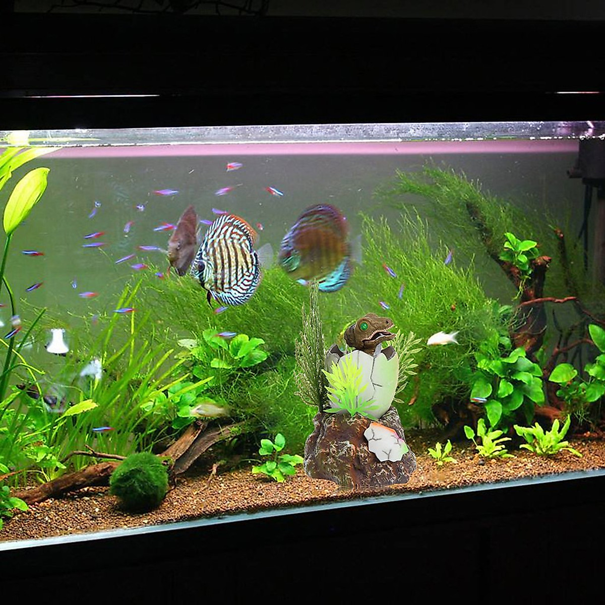 LOXGO Aquarium Decorations Small Ornaments Baby Dinosaur in Egg for Fish for Tank Aquatic Pet Supplies with Air Hose Aquarium Heater Light Thermometers Gravel Sand Decorations