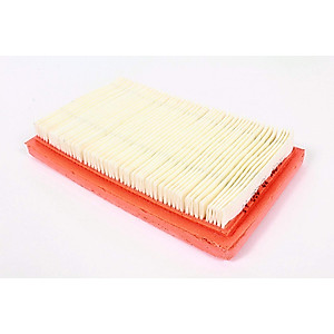 Kohler 14 083 01-S1 Pack of 2 Air Filters