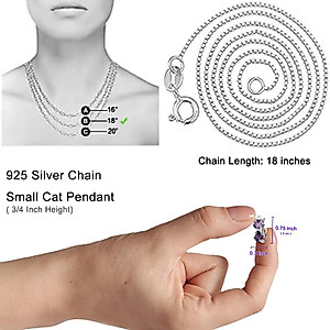 DreamsEden Cat Necklace, 18'' Silver Box Chain Women's Amethyst Cat Pendant Jewelry, Purple (Gift Box & Greeting Card)