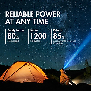 Tenergy Premium High Capacity NiMH Rechargeable Battery Combo Pack, Includes All Battery Sizes 8xAA 8xAAA 4xC 4xD 2x9V Rechargeable Batteries, 26 Pack