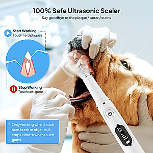 AAU Dog Plaque/Tartar Remover for Teeth - Rechargeable Safe Pets Ultrasonic OLED Screen Tooth Brushing Kit for Canine/Cat/Dog Teeth Cleaning, with Canident Dog Tartar Remover, 3 Replacement Heads