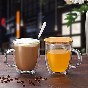Wwyybfk Double Wall Glass Coffee Mugs, 16oz Insulated Glass Espresso Mugs Cups with Handle Lid (Set of 2) for Cappuccino, Latte,Tea (455ml)