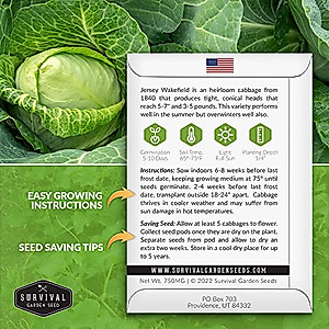 Survival Garden Seeds - Jersey Wakefield Cabbage Seed for Planting - 2 Packs with Instructions to Plant and Grow Cone-Shaped Green Cabbages in Your Home Vegetable Garden - Non-GMO Heirloom Variety