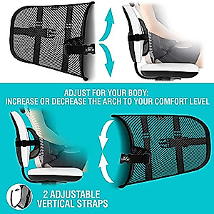 BOD Lumbar Mesh Back Support - Bring Comfort to an Office Chair, Car, and Truck Seat for Lower Back Pain Relief Behind Your Desk for All Day Pillow Like Comfort