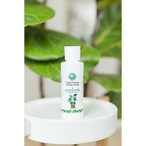 Fiddle Leaf Fig Rescue Drops by Fiddle Leaf Fig Plant Resource | 3-in-1 Liquid Fertilizer, Root Supplement & Immunity Booster (3.3 Fluid Ounces - 100ml)