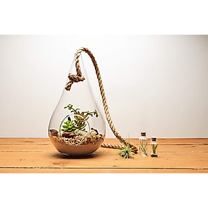 WGV Hanging Planter Terrarium, Width 6", Height 11", DIY Clear Glass Succulents Air Teardrop Floral Container (Including Rope), Candle Holder Vase for Outdoor Indoor Decor, 1 Piece
