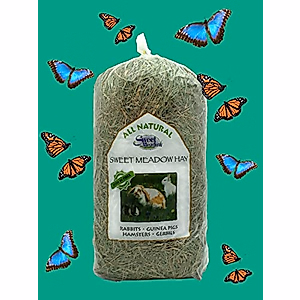 Sweet Meadow Farm Sweet Meadow Hay Small Pet Food, 20-oz Bag