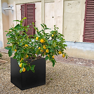 Galvanized Steel Planter Box Black Metal Planter Large Square Indoor Outdoor Planters Cube Steel Heavy Duty Flower Pot 20Inch Powder Coating Modern Commercial Residential for Patio, Deck, Yard, Garden