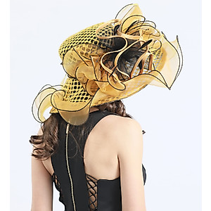 TLMNU Women Derby Church Hat Organza Flower Wedding Tea Party Fascinator Hat Wide Brim Sun Hat F5-Golden Hole