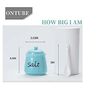 ONTUBE 12oz Sugar and Salt Bowls with Lid and Spoon, Ceramics Condiment Pots,Seasoning Jar Spice Container for Kitchen,Dishwasher Safe (Turquoise)