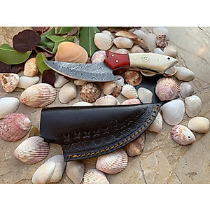 NUSHBA 017 Handmade Fixed Blade Hunting Skinner Knife, Damascus Steel Blade, Camal Bone Handle -Best Hunting Knife with Cow Brown Leather Sheath