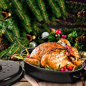 Tessco Roasting Pan 14.5 Inch Enamel Oval Turkey Roasting Pan with Lid 4.8 Quart Non Sticky Safe Spot Black Roaster Pot for Thanksgiving Gift Baking Turkey Cookware