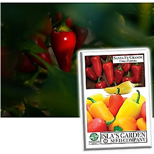 Santa Fe Grande Pepper Seeds for Planting, 50+ Heirloom Seeds Per Packet, (Isla's Garden Seeds), Non GMO Seeds, Botanical Name: Capsicum annuum, Great Home Garden Gift