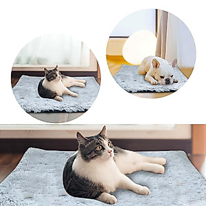 Washable Dog Crate Mattress Calming Fluffy Anxiety Dog Beds Deluxe Plush Dog Mat with Slip Bottom Small Dog Bed Back Supports for Car Seats (Sky Blue, One Size)