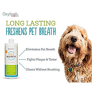Oxyfresh Premium Pet Dental Care Solution Pet Water Additive: Best Way to Eliminate Bad Dog Breath and Cat Bad Breath - Fights Tartar & Plaque - So Easy, Just Add to Water! Vet Recommended 2 Pack
