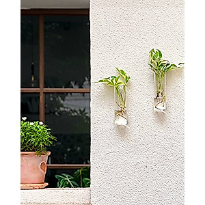 Ivolador 4PCS Wall Hanging Glass Plant Terrarium Container Cylinder Shape Perfect for Propagating Hydroponic Plants Home Office Garden Decor Wedding