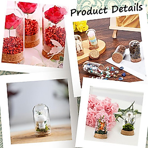 SUNNYCLUE 20Pcs Cloche Bell Jar 8mL Glass Display Dome with Cork Base 1.28 inch Small Clear Bottles Mini Bottles Dome Decorative Jars Display Case for Christmas Home Decor Dried Flowers Party Favor