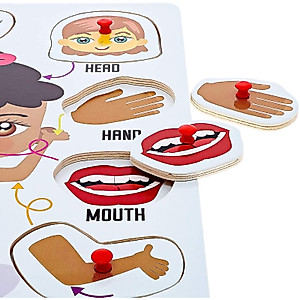 Blue Panda 2 Pack Educational Wood Peg Anatomy Puzzle Toys for Kids Game, Human Body Parts