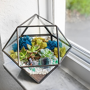 7” DIY Succulent Terrarium Kit with Live Plants, Decorative Rocks, Moss, Healing Crystals, Figurine, Tools & Geometric Glass Terrarium Décor