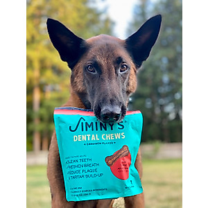 Jiminy's Dental Chews for Dogs, Cinnamon Flavor, Scientifically Proven to Improve Oral Health, Dental Bones Clean Teeth, Fight Bad Breath, and Removes Plaque and Tartar, Large, 7ct (Pack of 1)