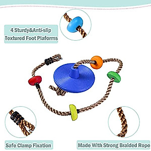 IFOYO Climbing Rope Swing for Trees, Heavy Duty Plastic Disc Swing Seat for Kids and Adults Outdoor Tree Backyard Playground Swing, Blue