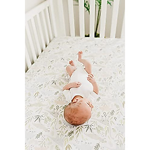 Premium Fitted Knit Crib Sheet/Toddler Sheet Rex by Copper Pearl