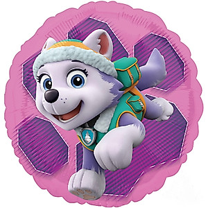 Paw Girl Pups on Patrol Skye Birthday Party Supplies Balloon Bouquet Decorations