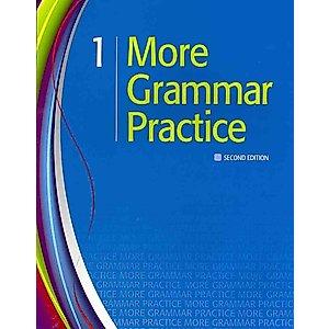 More Grammar Practice 1