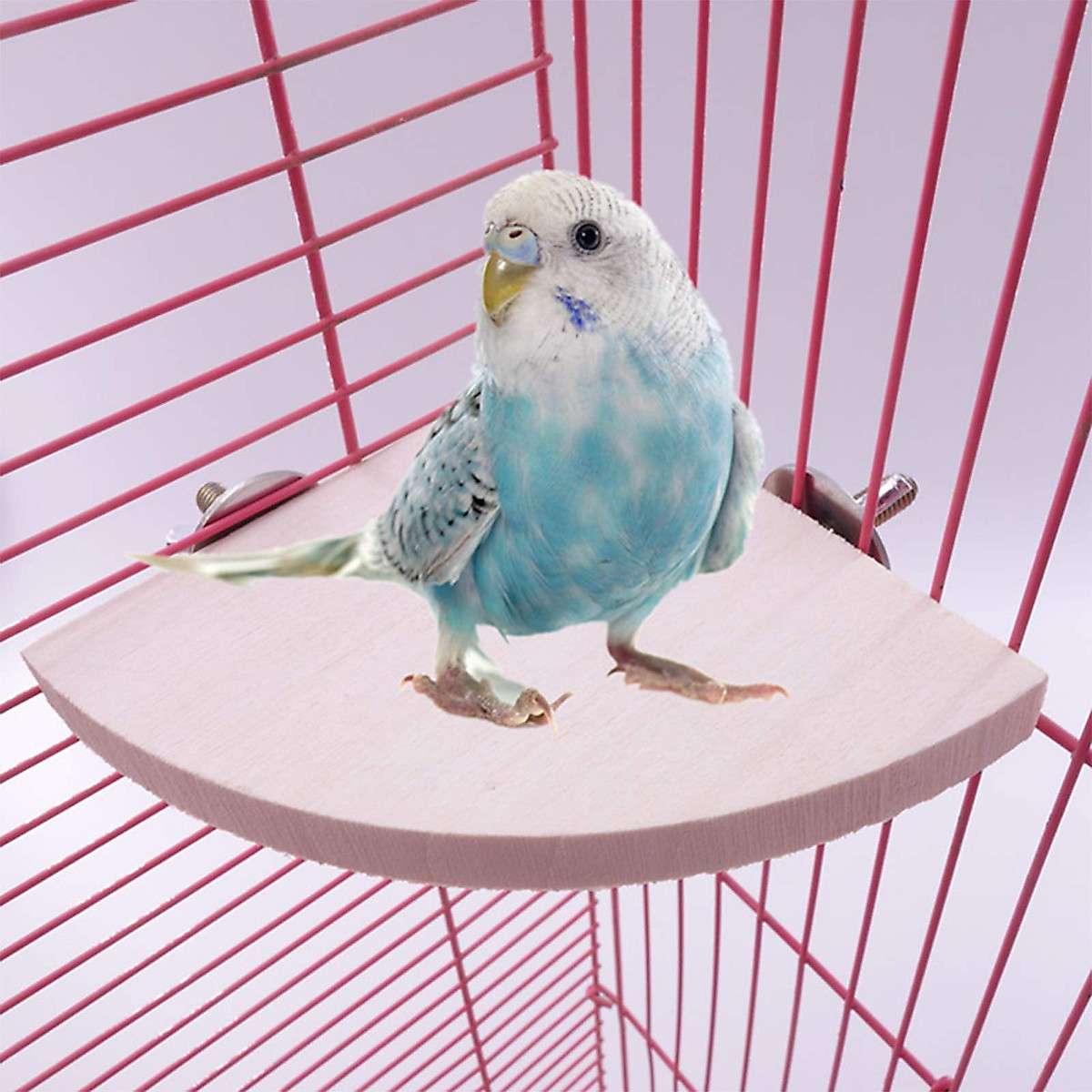 Bird Perch Platform Stand，Wood Perch Bird Platform Parrot Stand Playground Cage Accessories for Small Anminals Rat Hamster Gerbil Rat Mouse Lovebird Finches Conure Budgie Exercise Toy (Semicircle)