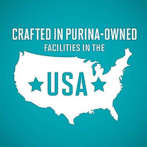 Purina ONE Grain Free Classic Turkey Recipe (12 CANS) (3 OZ Each)